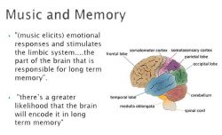 Music and the Brain: Research, Effects, and Benefits All In One